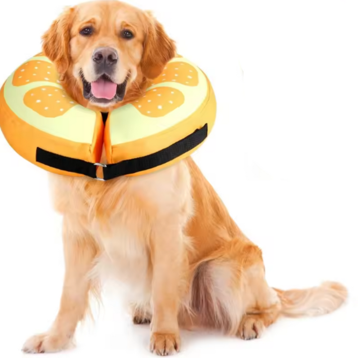 Inflatable Dog Collar | Recovery Solution – Lovedogcollar