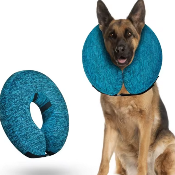 Inflatable Dog Collar | Recovery Solution – Lovedogcollar