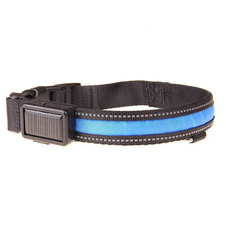 Light Up Dog Collar | Night Time Safety – Lovedogcollar